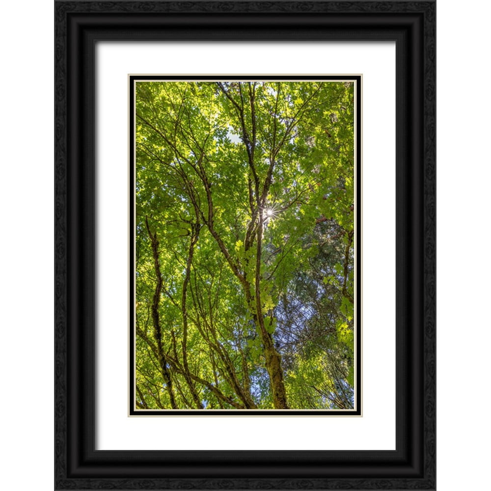 Jaynes Gallery 17x24 Black Ornate Wood Framed with Double Matting Museum Art Print Titled - USA ...