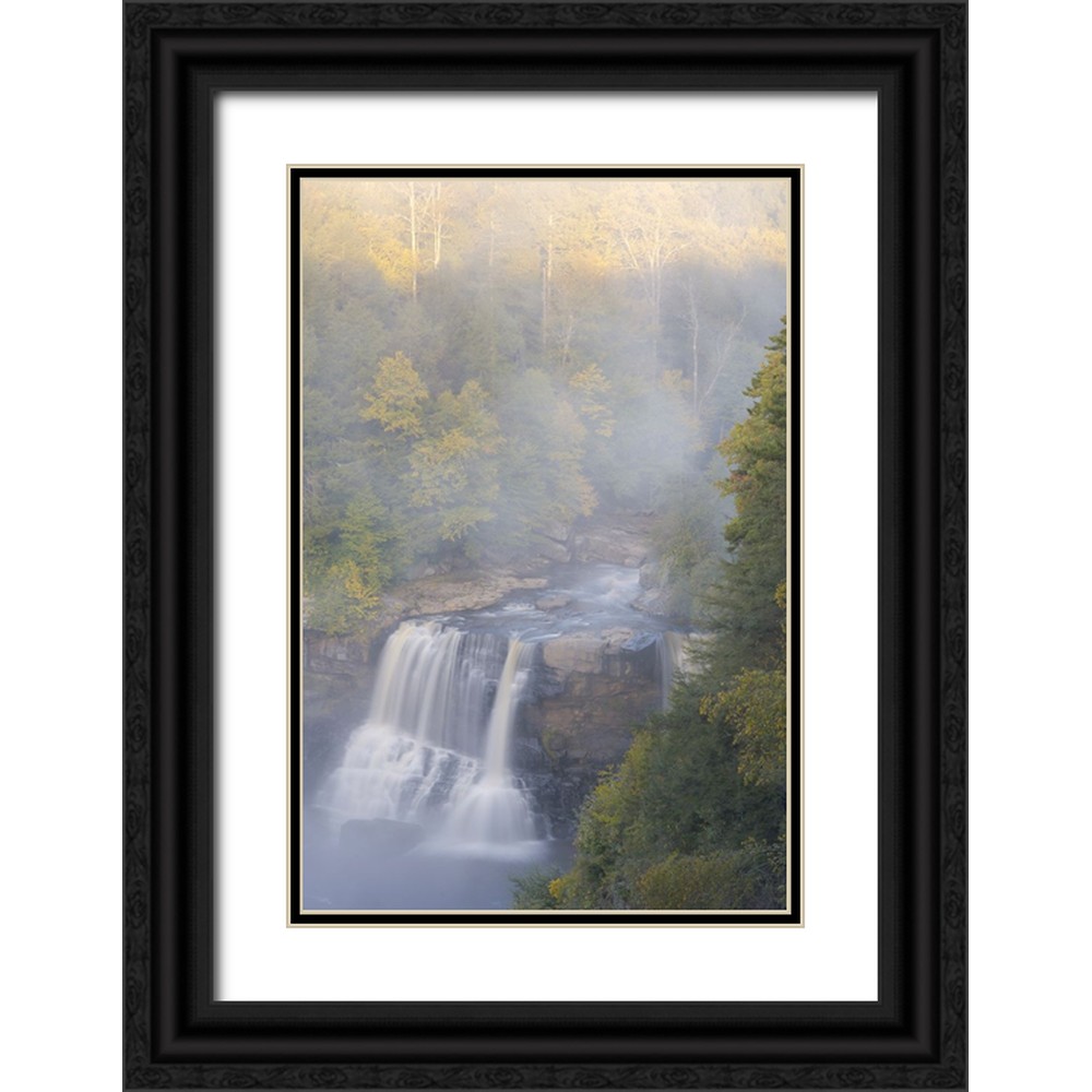 Jaynes Gallery 17x24 Black Ornate Wood Framed with Double Matting ...