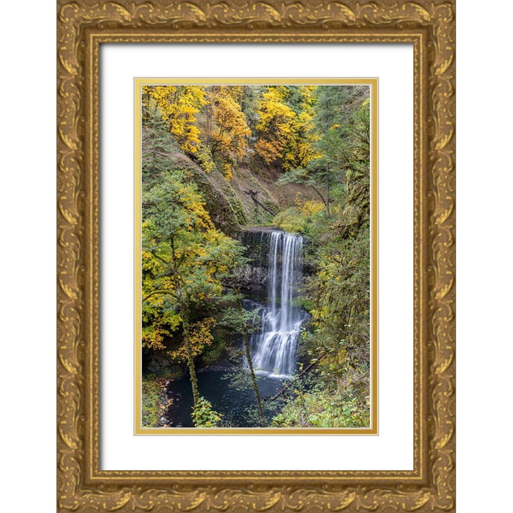 Jaynes Gallery 17x24 Gold Ornate Wood Framed with Double Matting Museum ...