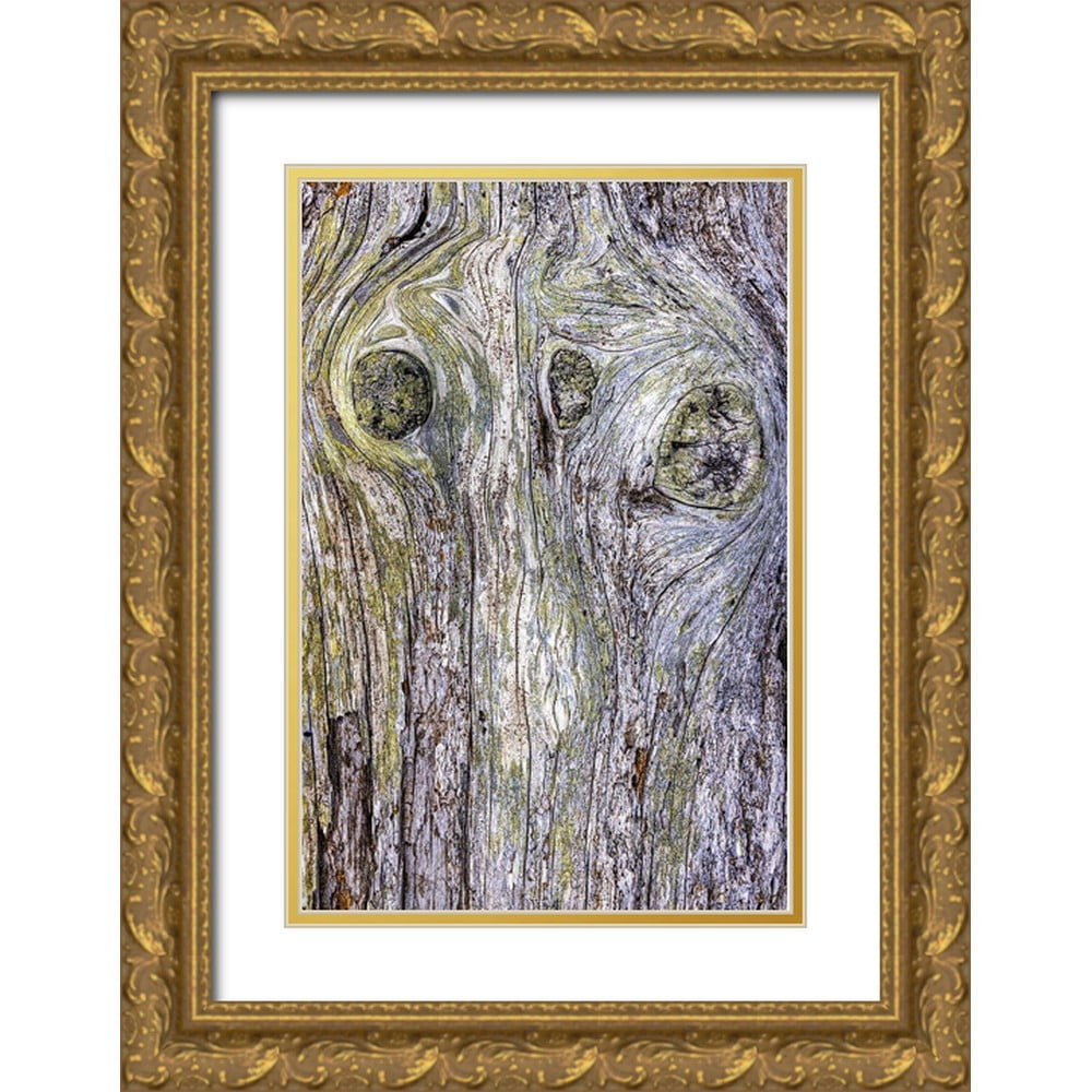 Jaynes Gallery 17x24 Gold Ornate Wood Framed with Double Matting Museum ...