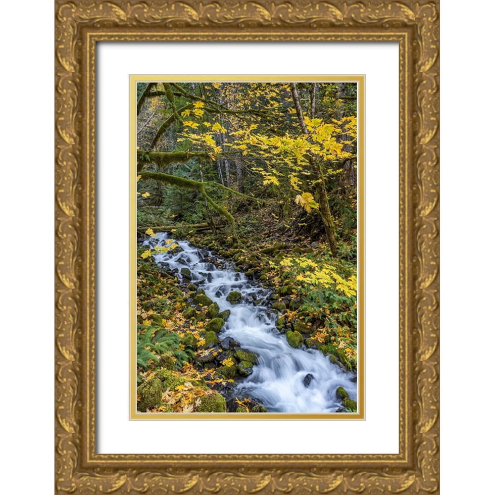 Jaynes Gallery 17x24 Gold Ornate Wood Framed with Double Matting Museum ...