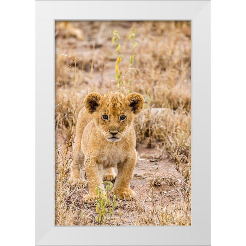 Jaynes Gallery 17x24 White Modern Wood Framed Museum Art Print Titled ...