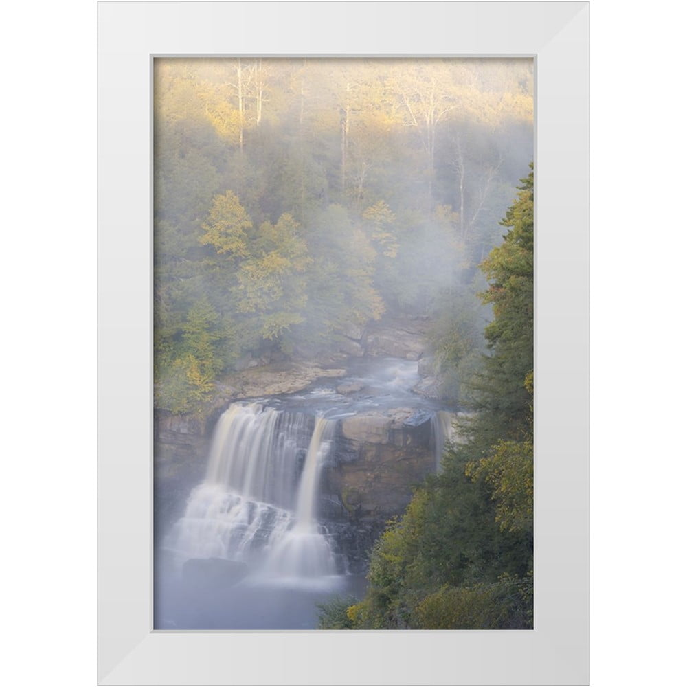 Jaynes Gallery 17x24 White Modern Wood Framed Museum Art Print Titled ...