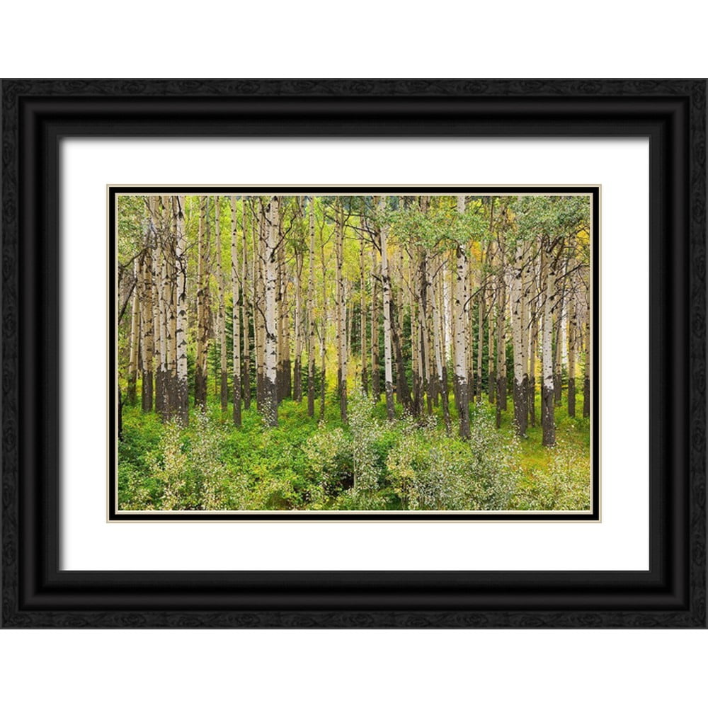 Jaynes Gallery 18x13 Black Ornate Wood Framed with Double Matting ...