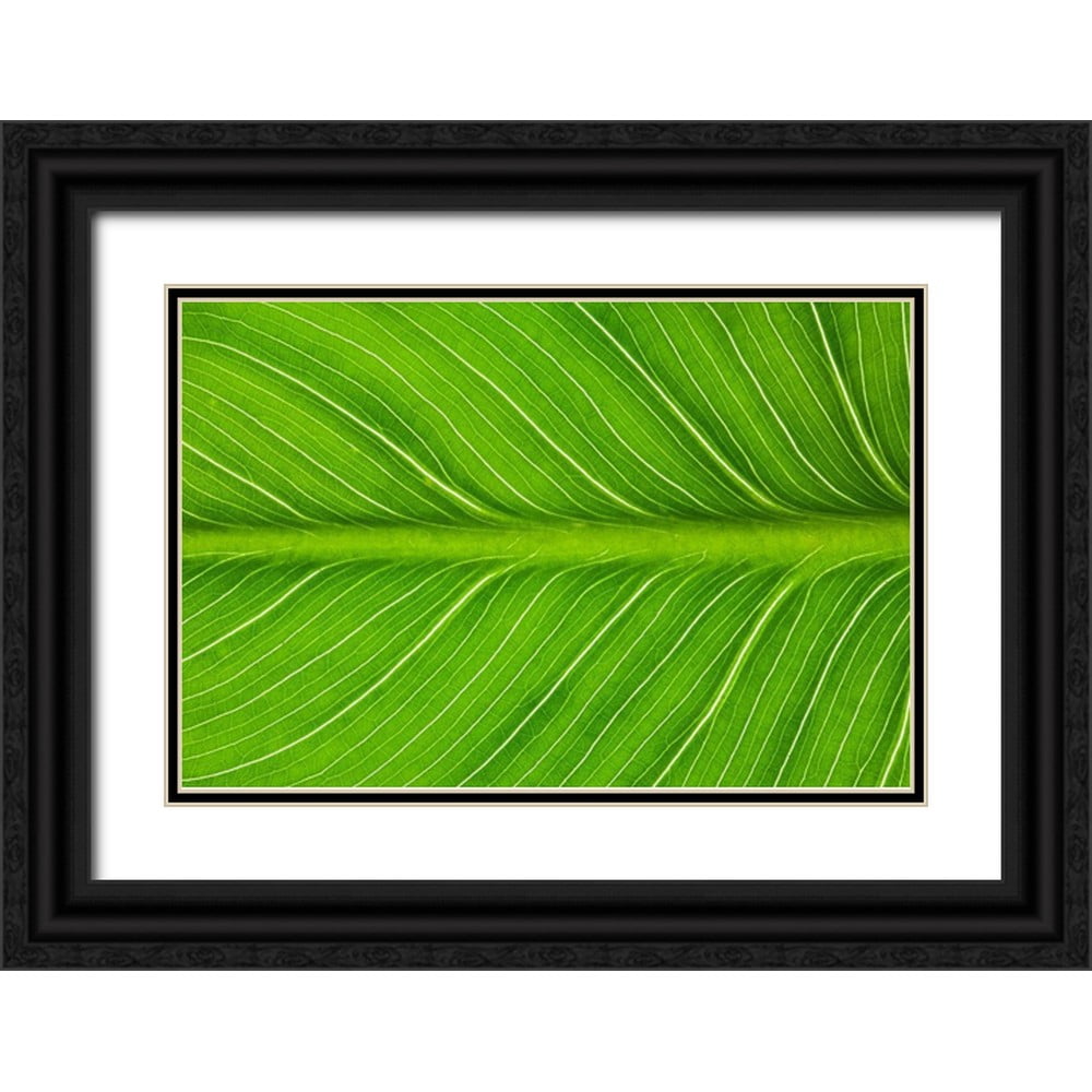 Jaynes Gallery 18x13 Black Ornate Wood Framed with Double Matting ...