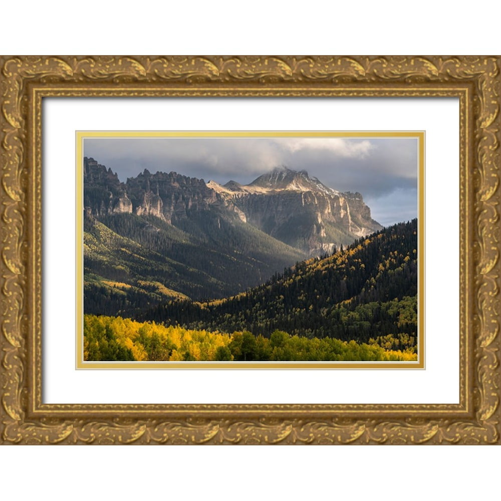 Jaynes Gallery 18x13 Gold Ornate Wood Framed with Double Matting Museum ...