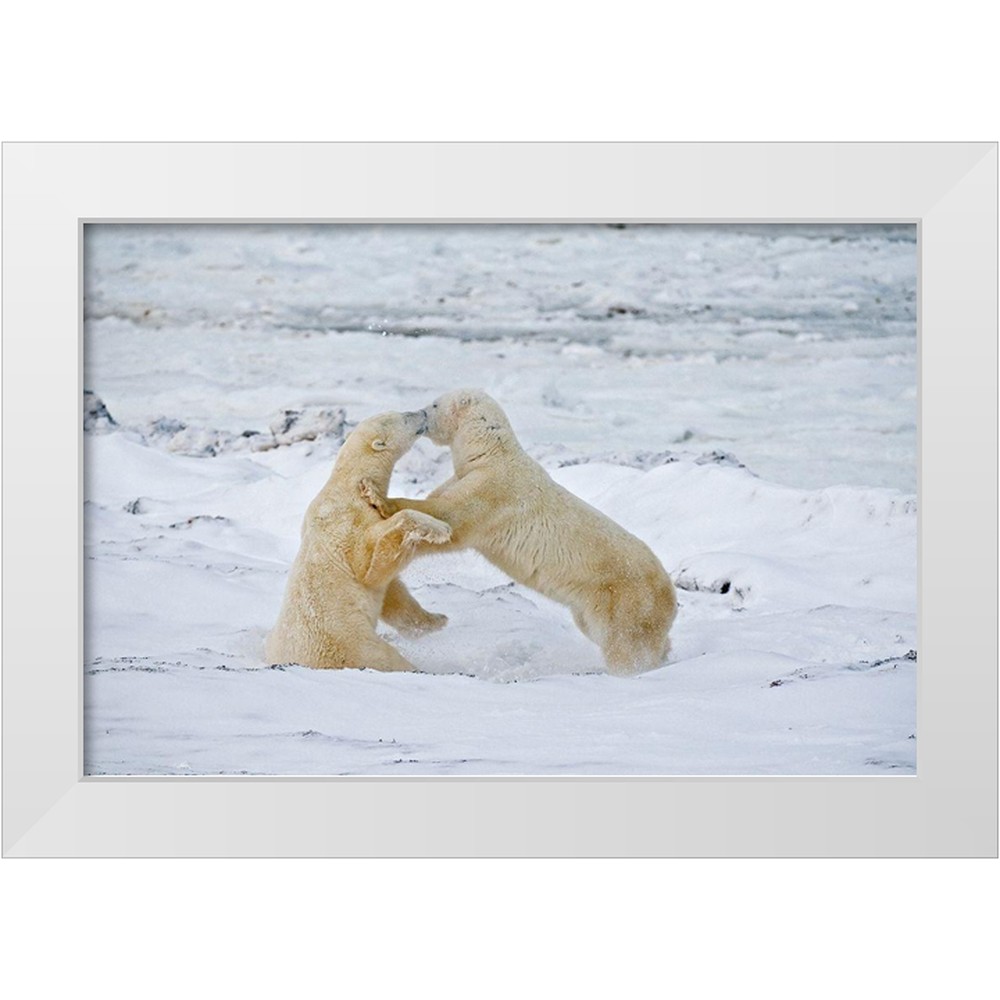 Jaynes Gallery 18x13 White Modern Wood Framed Museum Art Print Titled ...