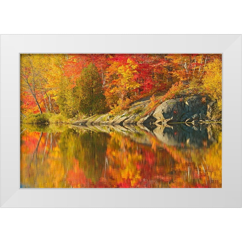 Jaynes Gallery 18x13 White Modern Wood Framed Museum Art Print Titled ...