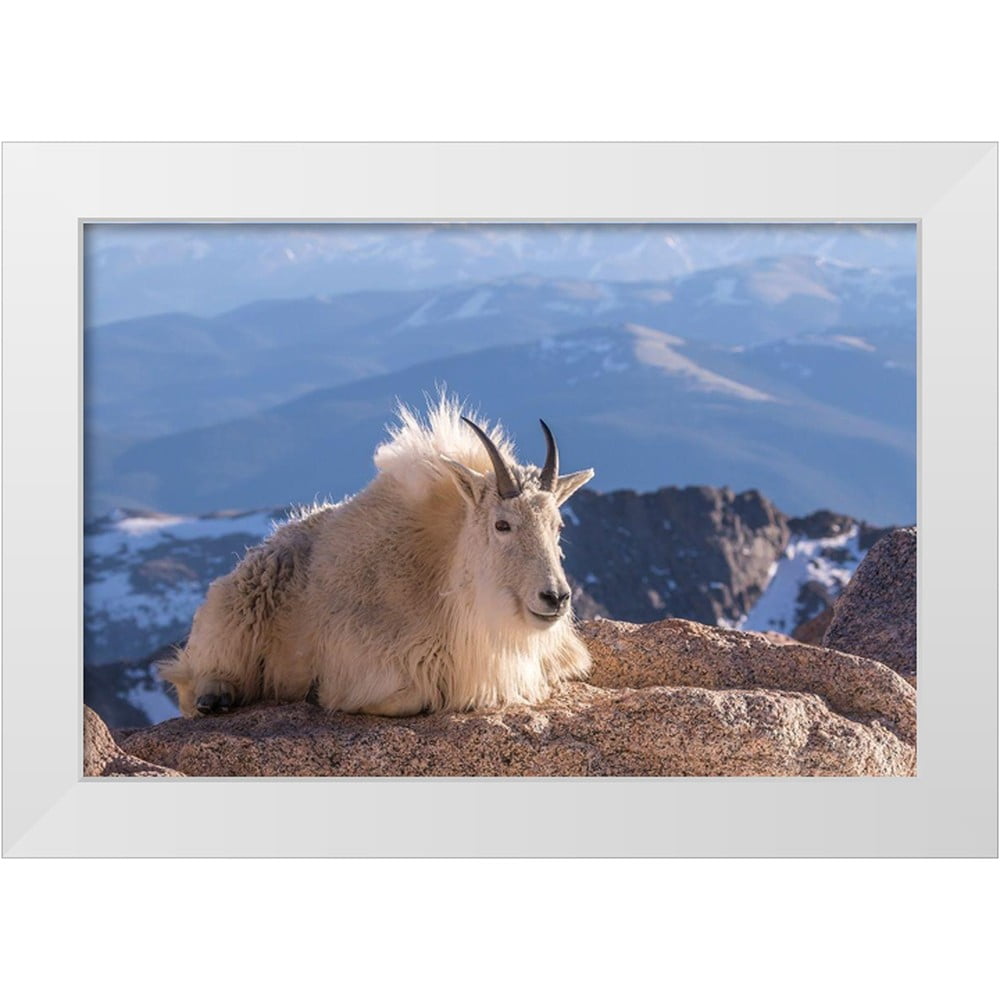 Jaynes Gallery 18x13 White Modern Wood Framed Museum Art Print Titled ...