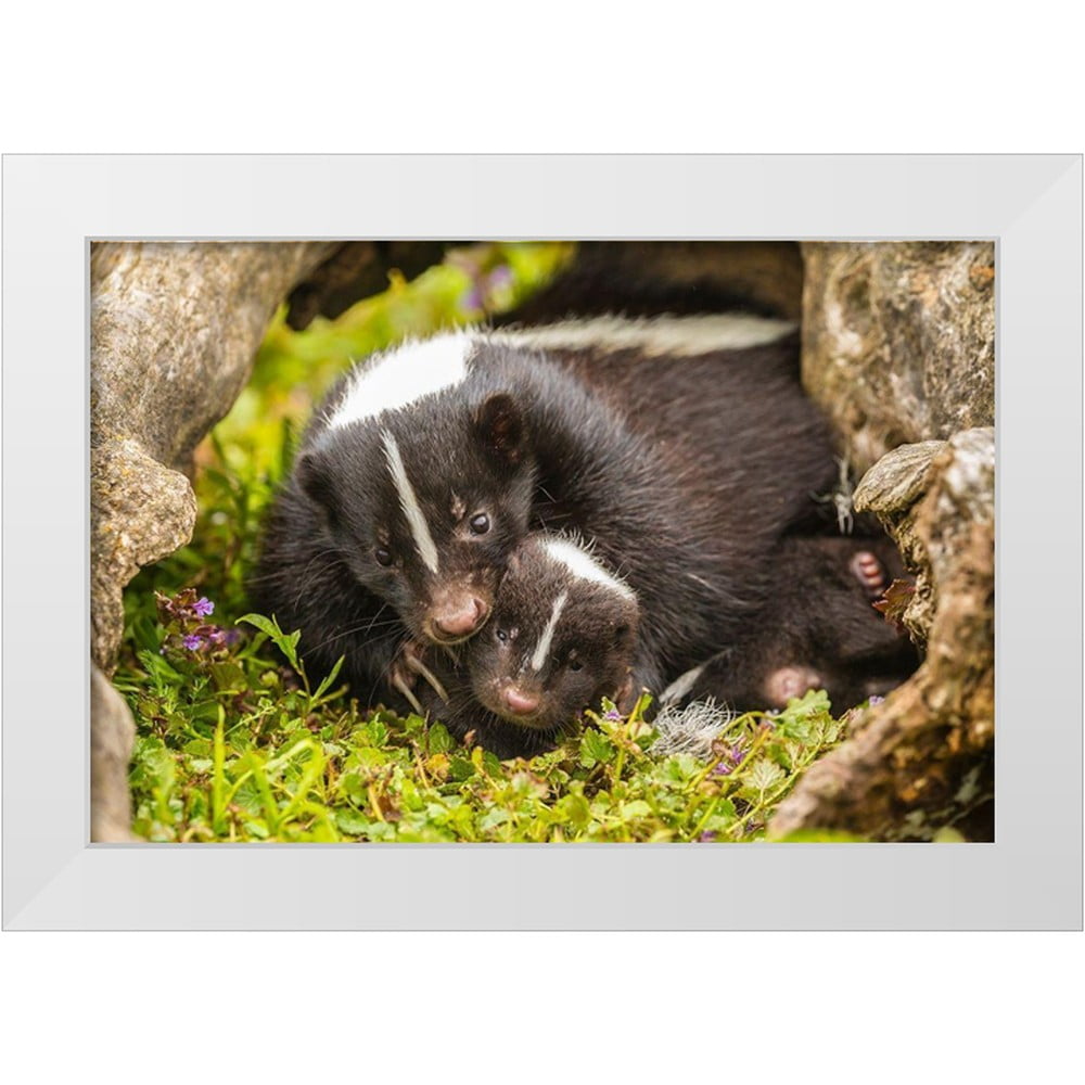 Jaynes Gallery 18x13 White Modern Wood Framed Museum Art Print Titled ...