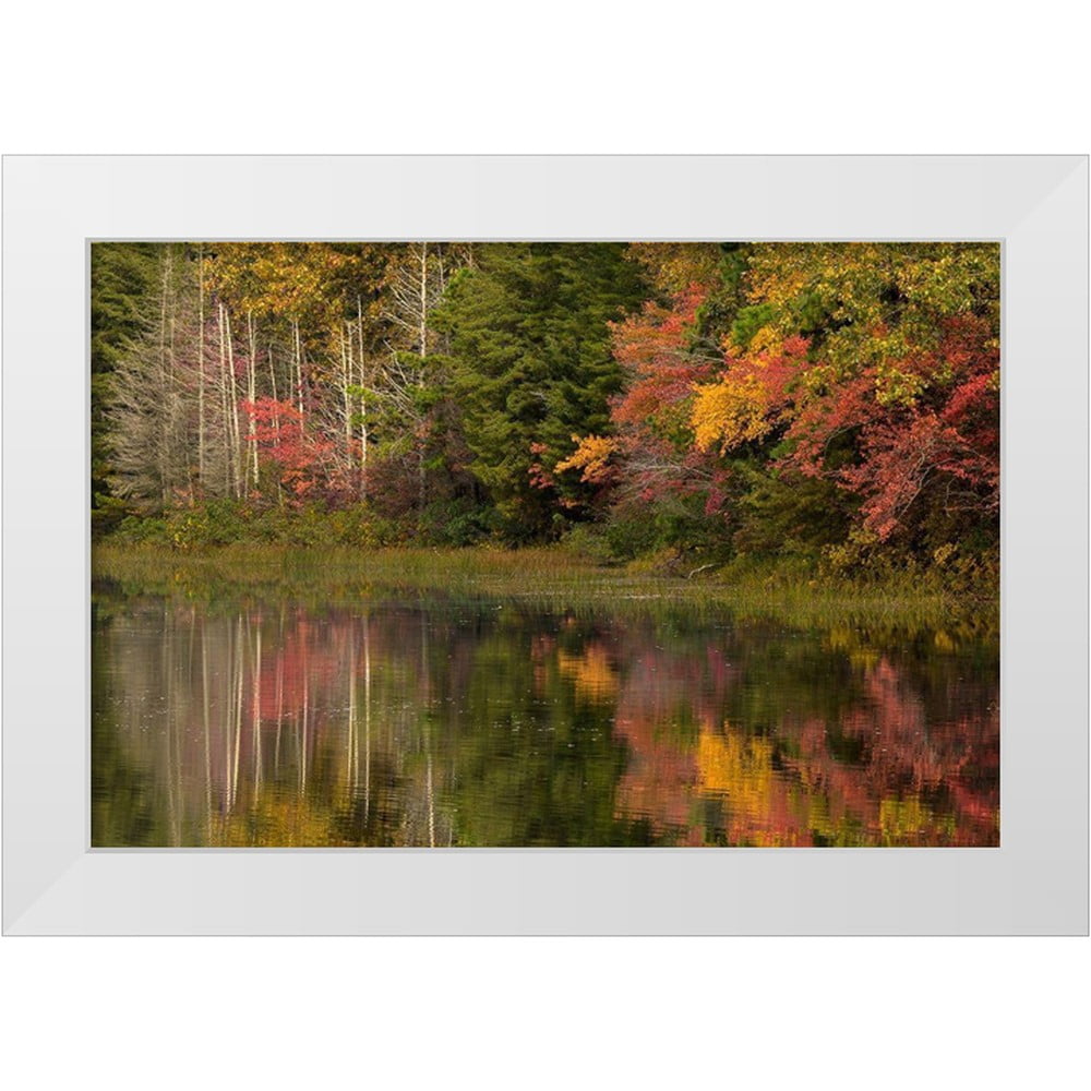 Jaynes Gallery 18x13 White Modern Wood Framed Museum Art Print Titled ...