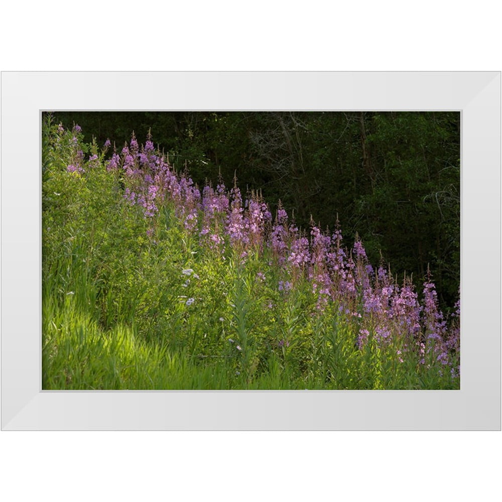 Jaynes Gallery 18x13 White Modern Wood Framed Museum Art Print Titled ...