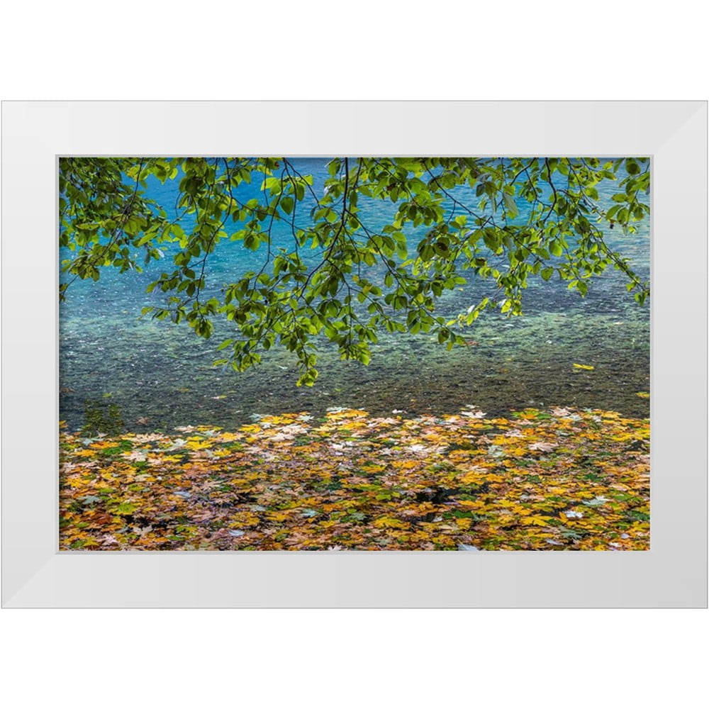 Jaynes Gallery 18x13 White Modern Wood Framed Museum Art Print Titled ...