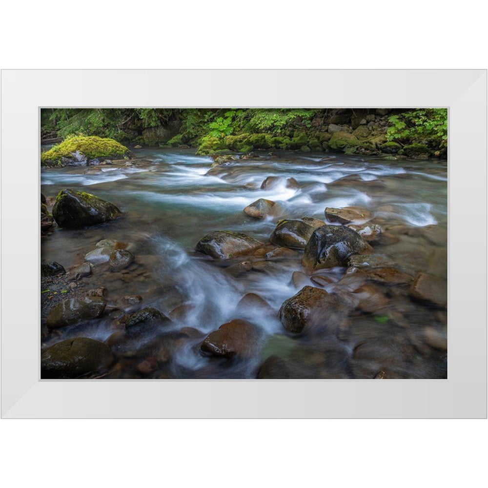 Jaynes Gallery 18x13 White Modern Wood Framed Museum Art Print Titled - Washington State-Olympic ...