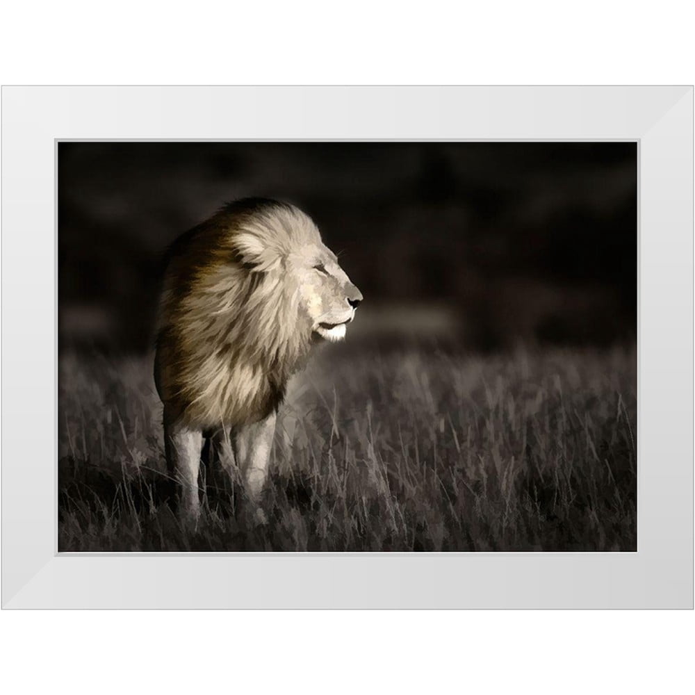 Jaynes Gallery 18x14 White Modern Wood Framed Museum Art Print Titled ...