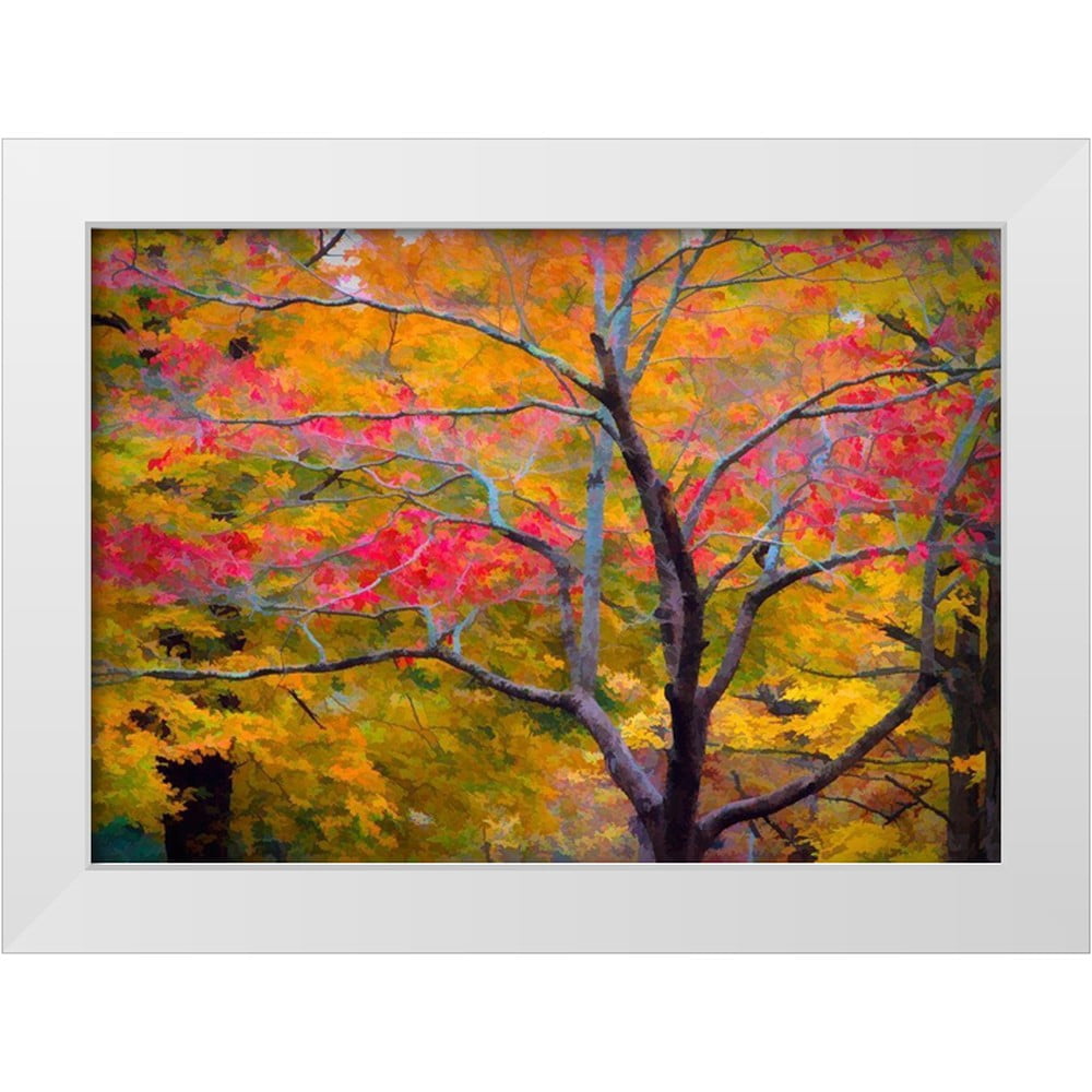 Jaynes Gallery 18x14 White Modern Wood Framed Museum Art Print Titled ...