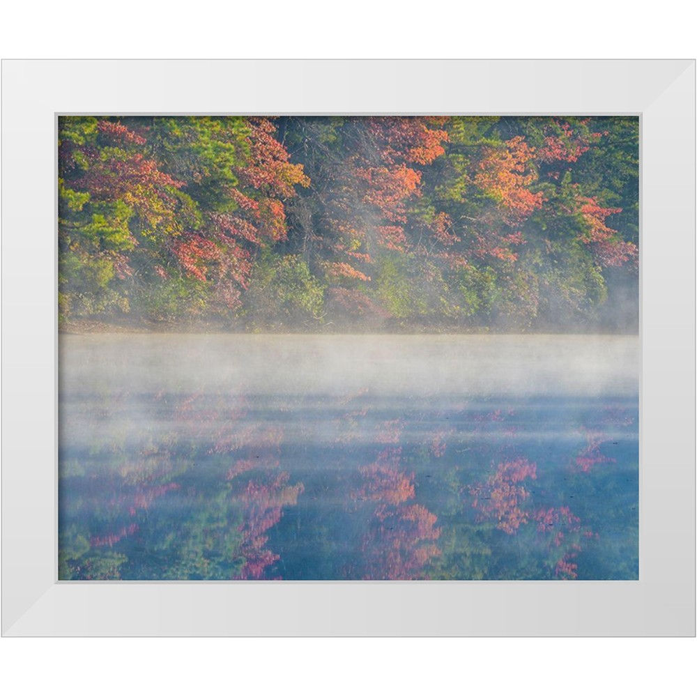 Jaynes Gallery 18x15 White Modern Wood Framed Museum Art Print Titled ...