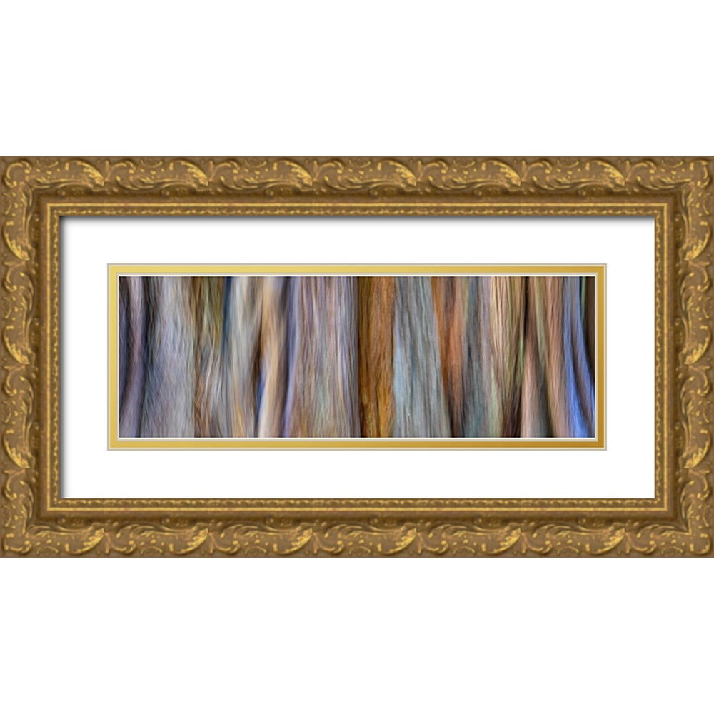 Jaynes Gallery 18x9 Gold Ornate Wood Framed with Double Matting Museum Art Print Titled - USA ...
