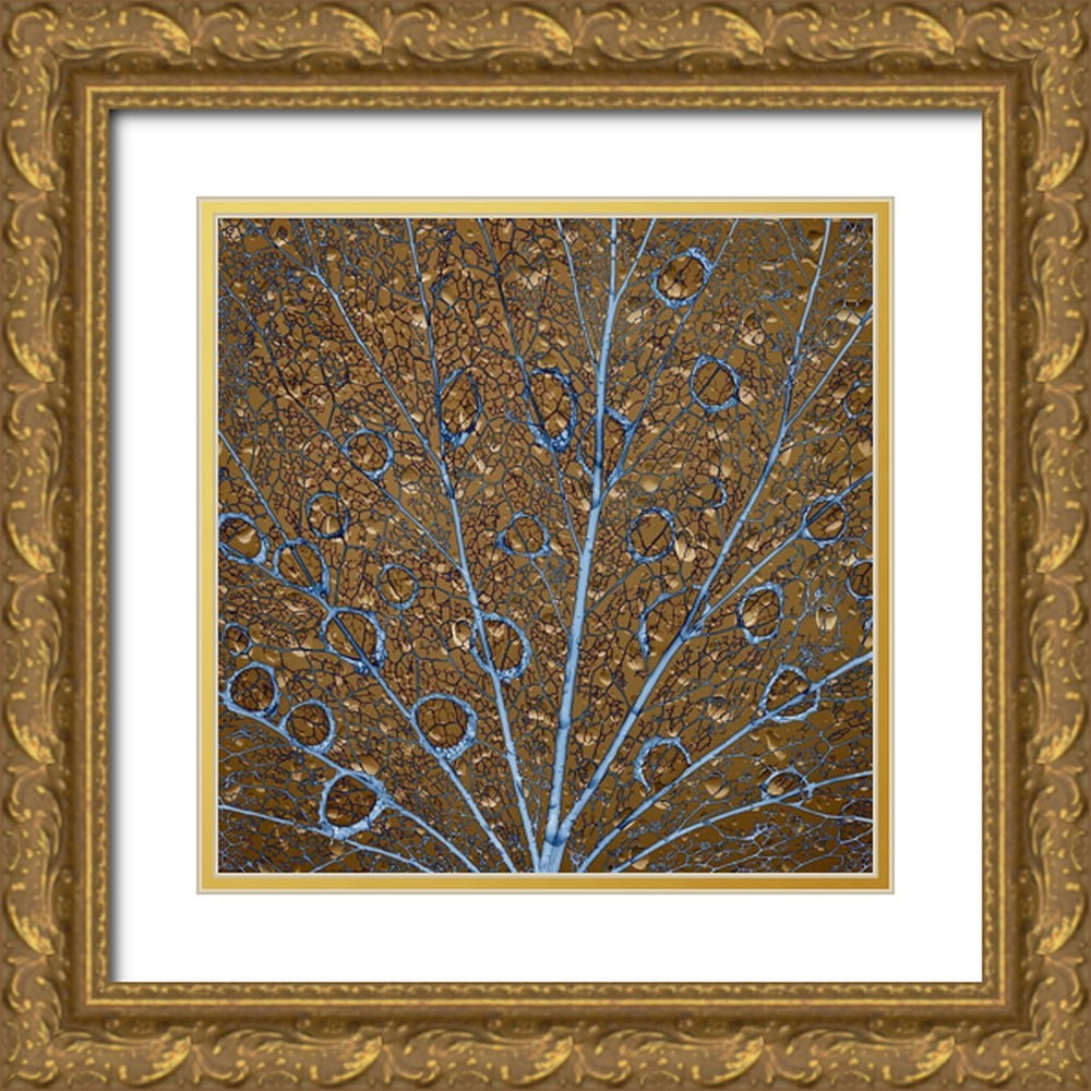 Jaynes Gallery 20x20 Gold Ornate Wood Framed with Double Matting Museum ...