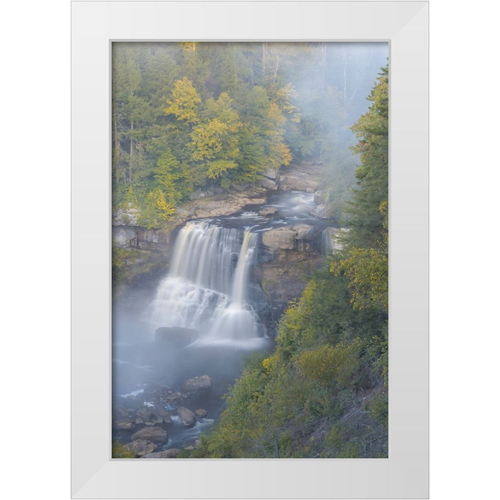 Jaynes Gallery 23x32 White Modern Wood Framed Museum Art Print Titled ...
