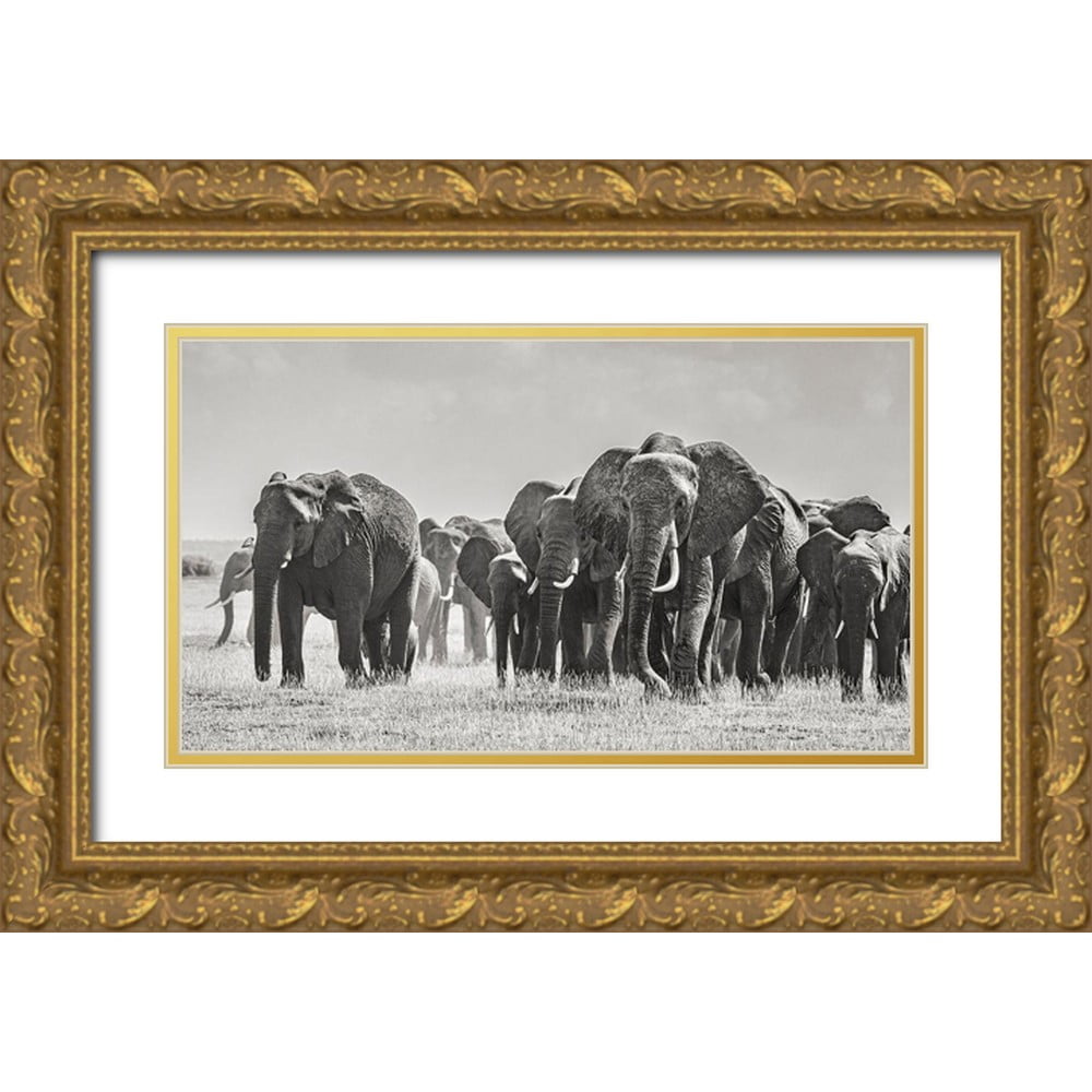 Jaynes Gallery 24x15 Gold Ornate Wood Framed with Double Matting Museum ...