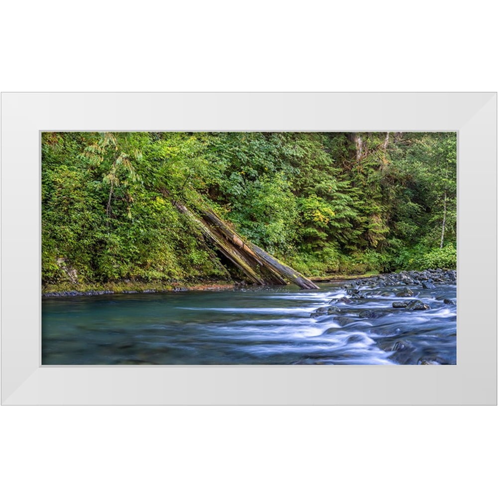 Jaynes Gallery 24x15 White Modern Wood Framed Museum Art Print Titled - USA-Washington State ...