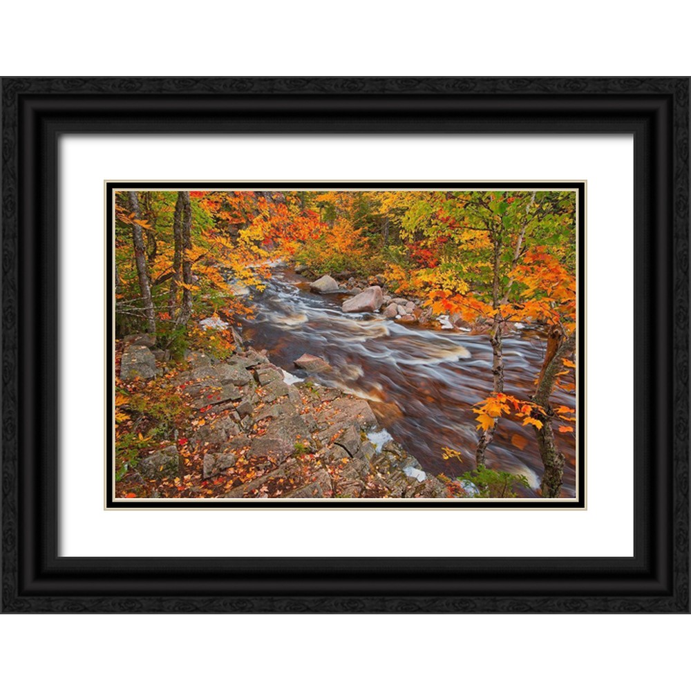 Jaynes Gallery 24x17 Black Ornate Wood Framed with Double Matting ...