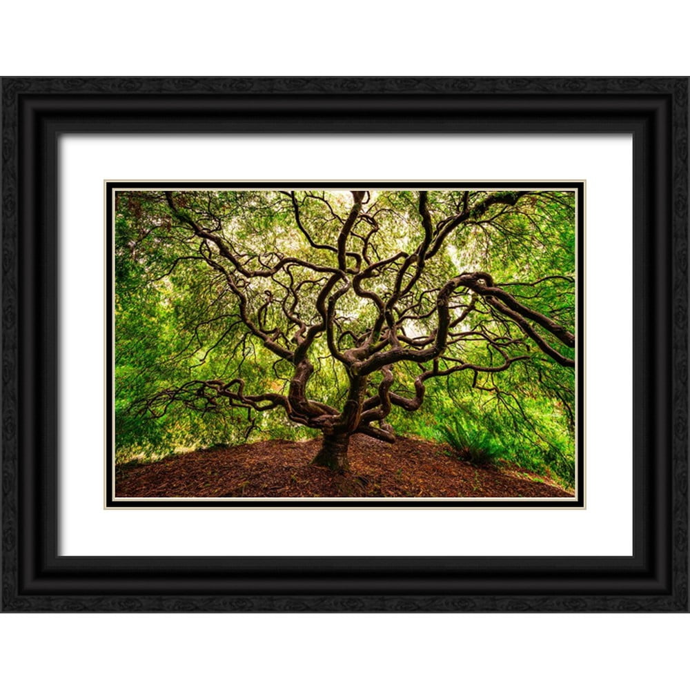 Jaynes Gallery 24x17 Black Ornate Wood Framed with Double Matting ...