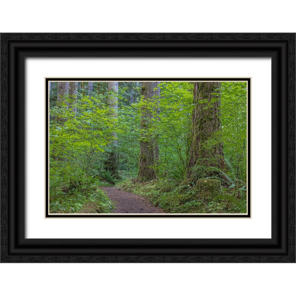 Jaynes Gallery 24x17 Black Ornate Wood Framed with Double Matting ...
