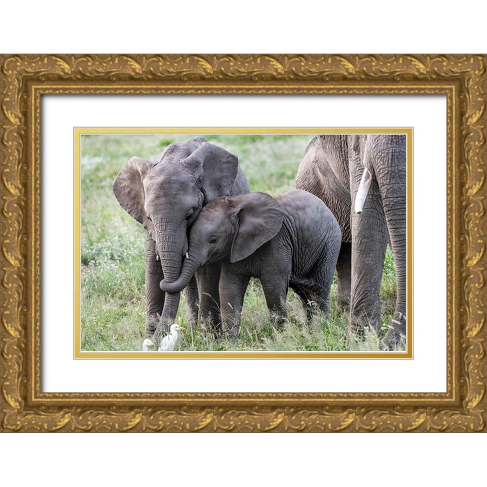 Jaynes Gallery 24x17 Gold Ornate Wood Framed with Double Matting Museum ...