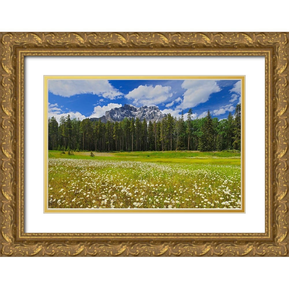 Jaynes Gallery 24x17 Gold Ornate Wood Framed with Double Matting Museum ...