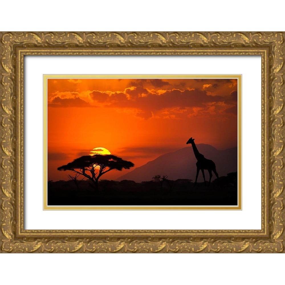 Jaynes Gallery 24x17 Gold Ornate Wood Framed with Double Matting Museum ...