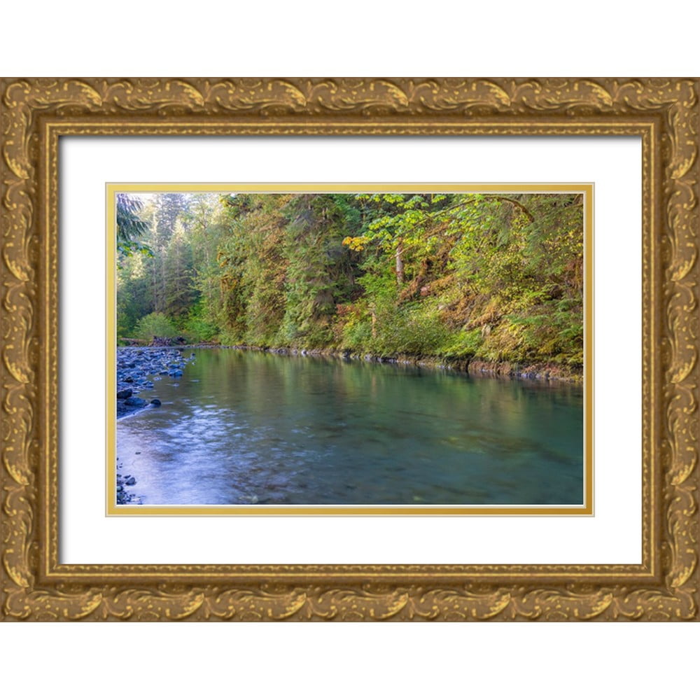 Jaynes Gallery 24x17 Gold Ornate Wood Framed with Double Matting Museum ...