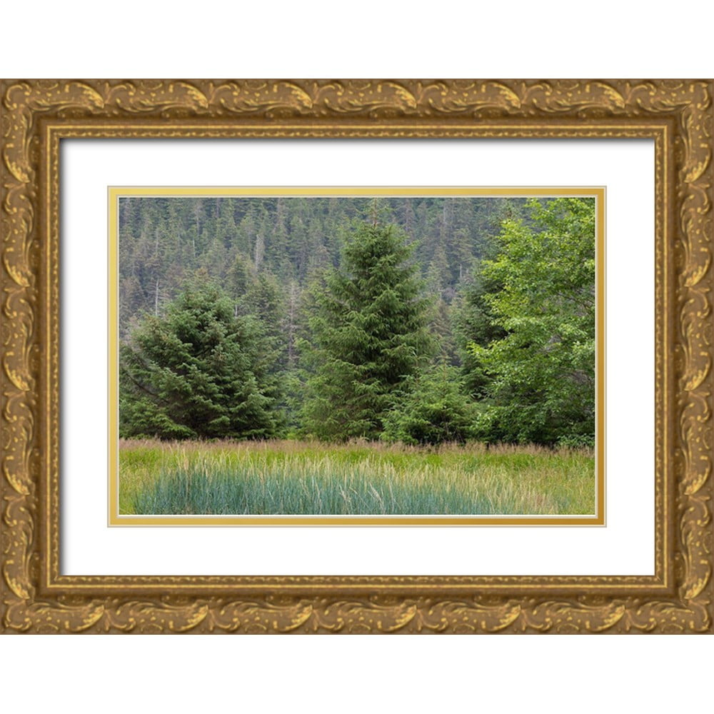 Jaynes Gallery 24x17 Gold Ornate Wood Framed with Double Matting Museum ...