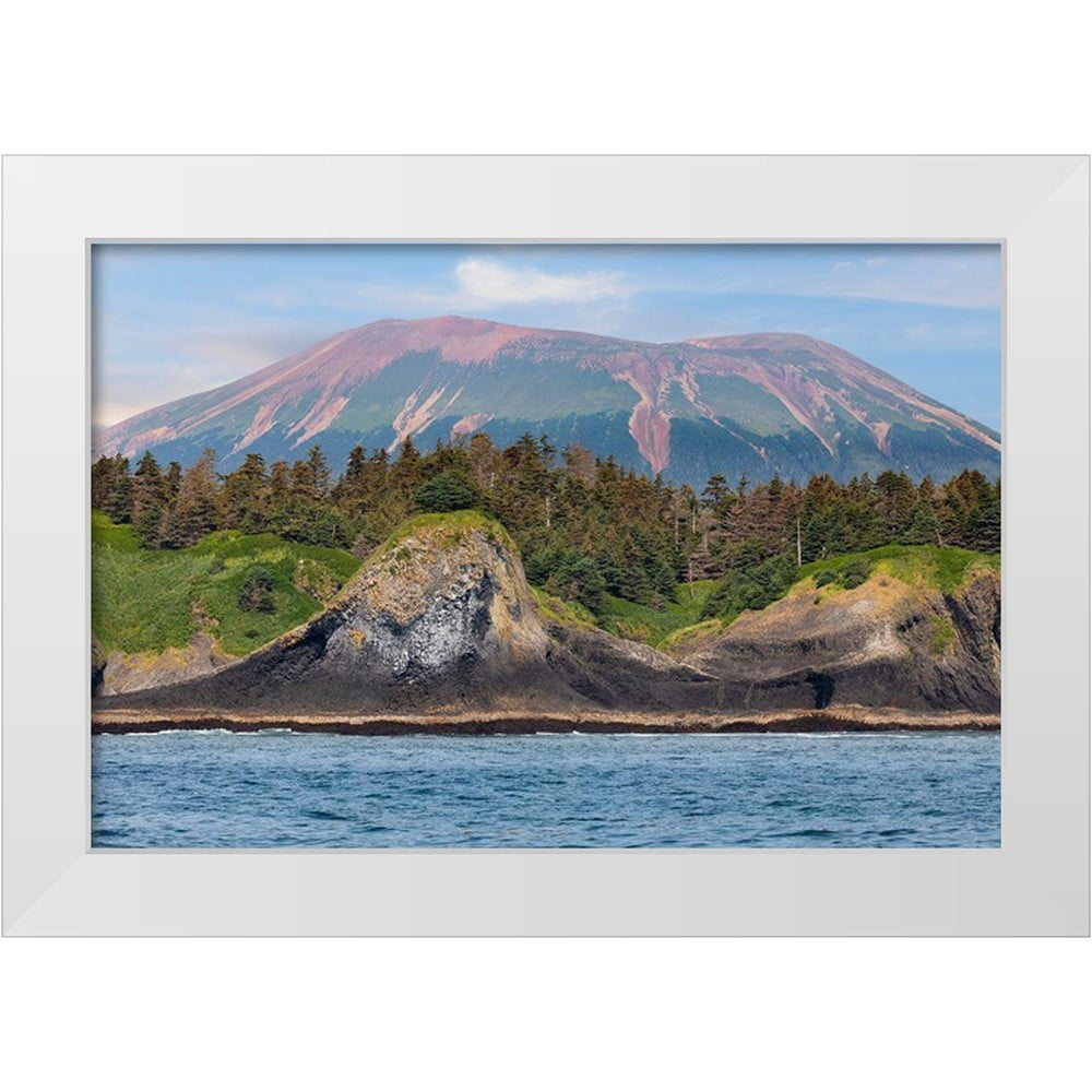 Jaynes Gallery 24x17 White Modern Wood Framed Museum Art Print Titled ...