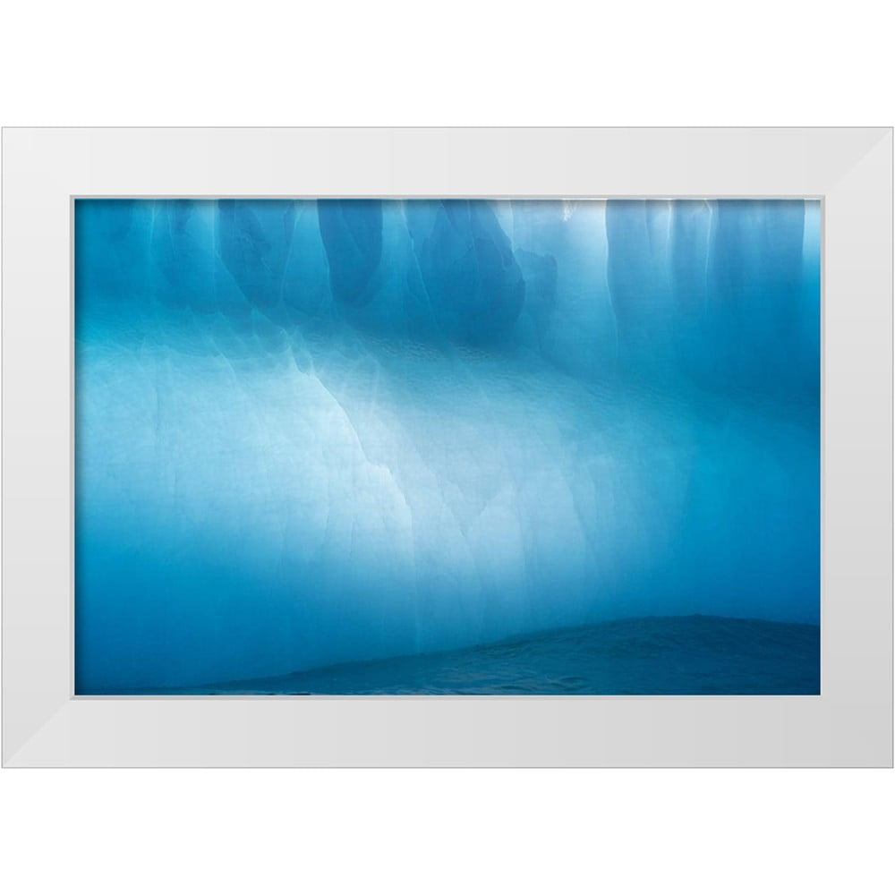 Jaynes Gallery 24x17 White Modern Wood Framed Museum Art Print Titled - Antarctica-South Georgia ...