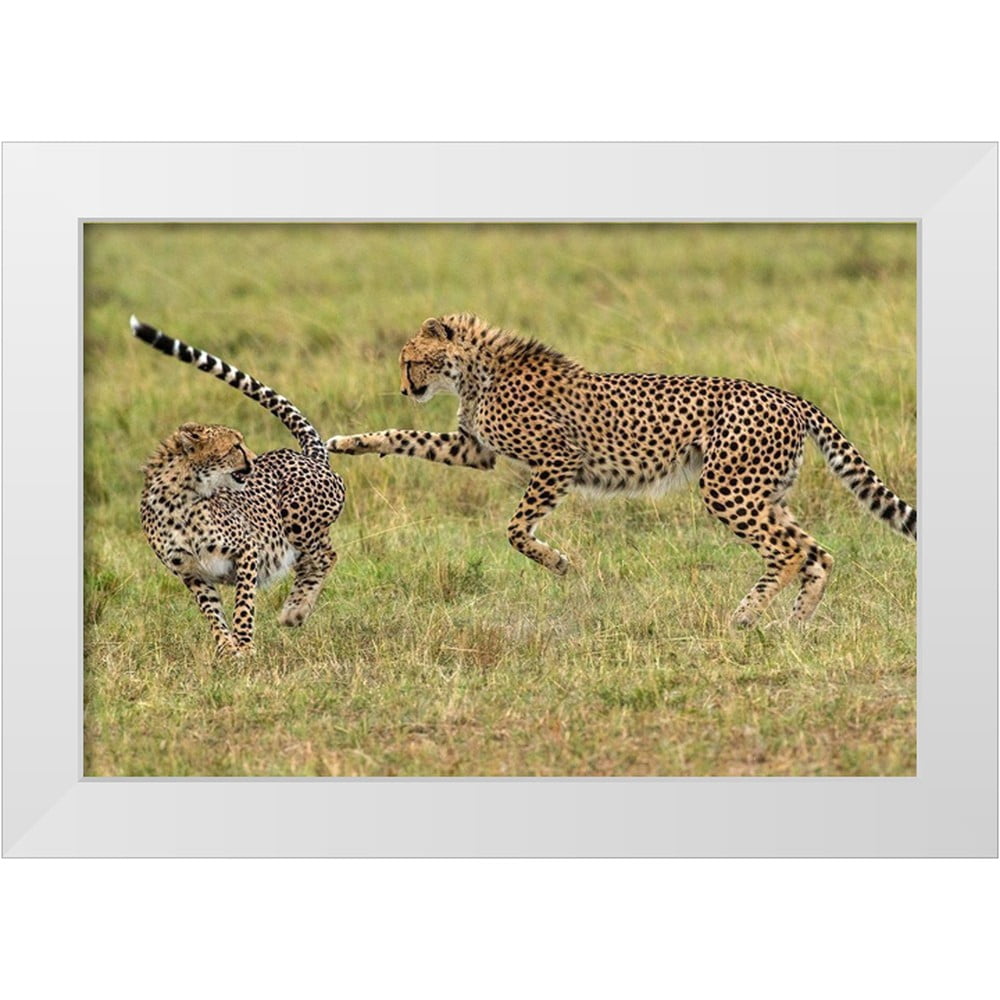 Jaynes Gallery 24x17 White Modern Wood Framed Museum Art Print Titled ...