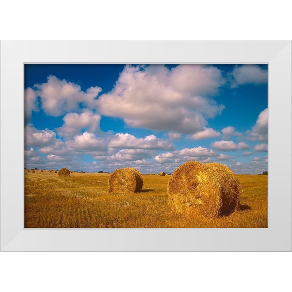 Jaynes Gallery 24x18 White Modern Wood Framed Museum Art Print Titled ...