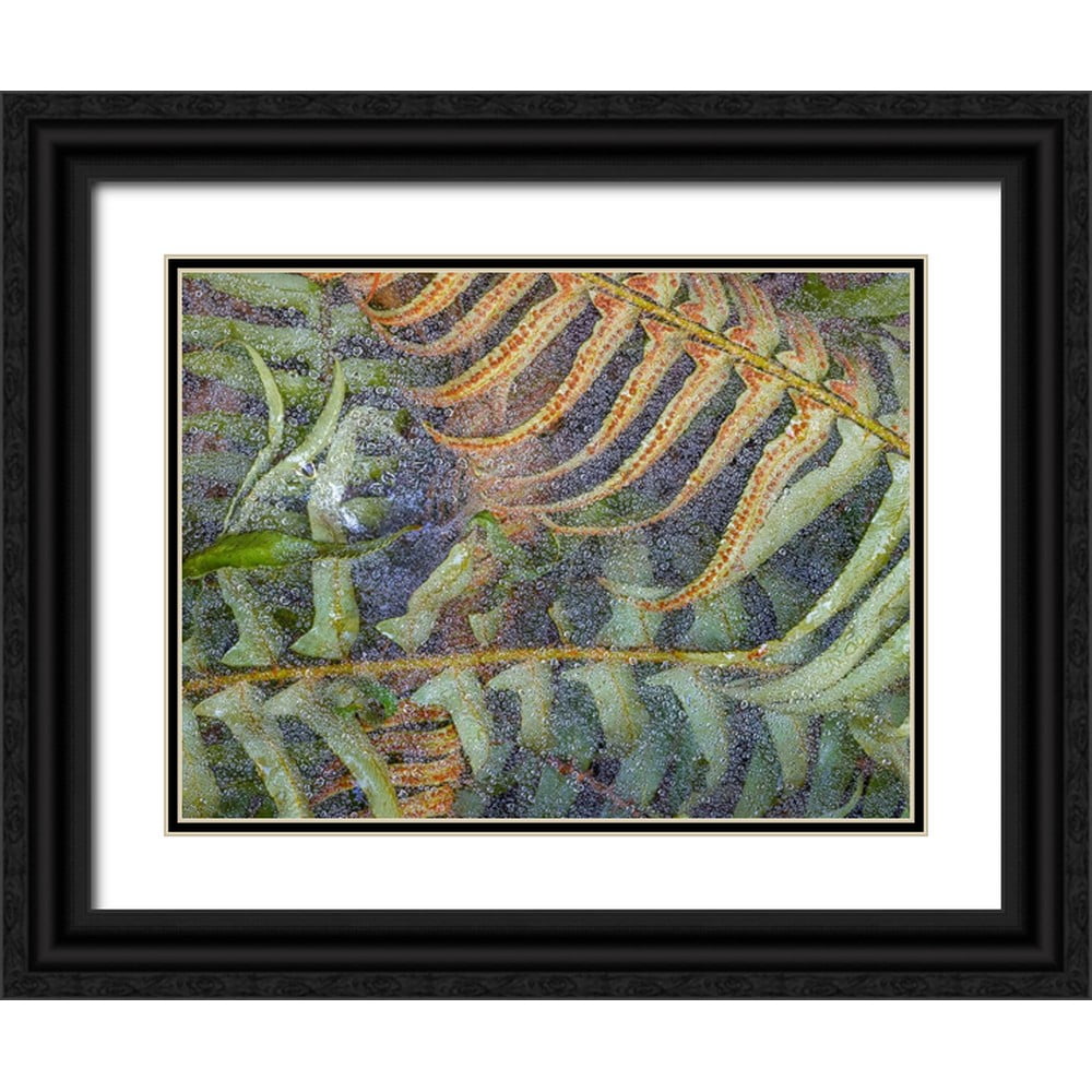 Jaynes Gallery 24x19 Black Ornate Wood Framed with Double Matting Museum Art Print Titled - USA ...