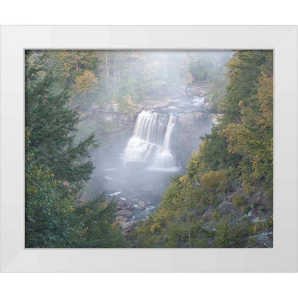 Jaynes Gallery 24x20 White Modern Wood Framed Museum Art Print Titled ...