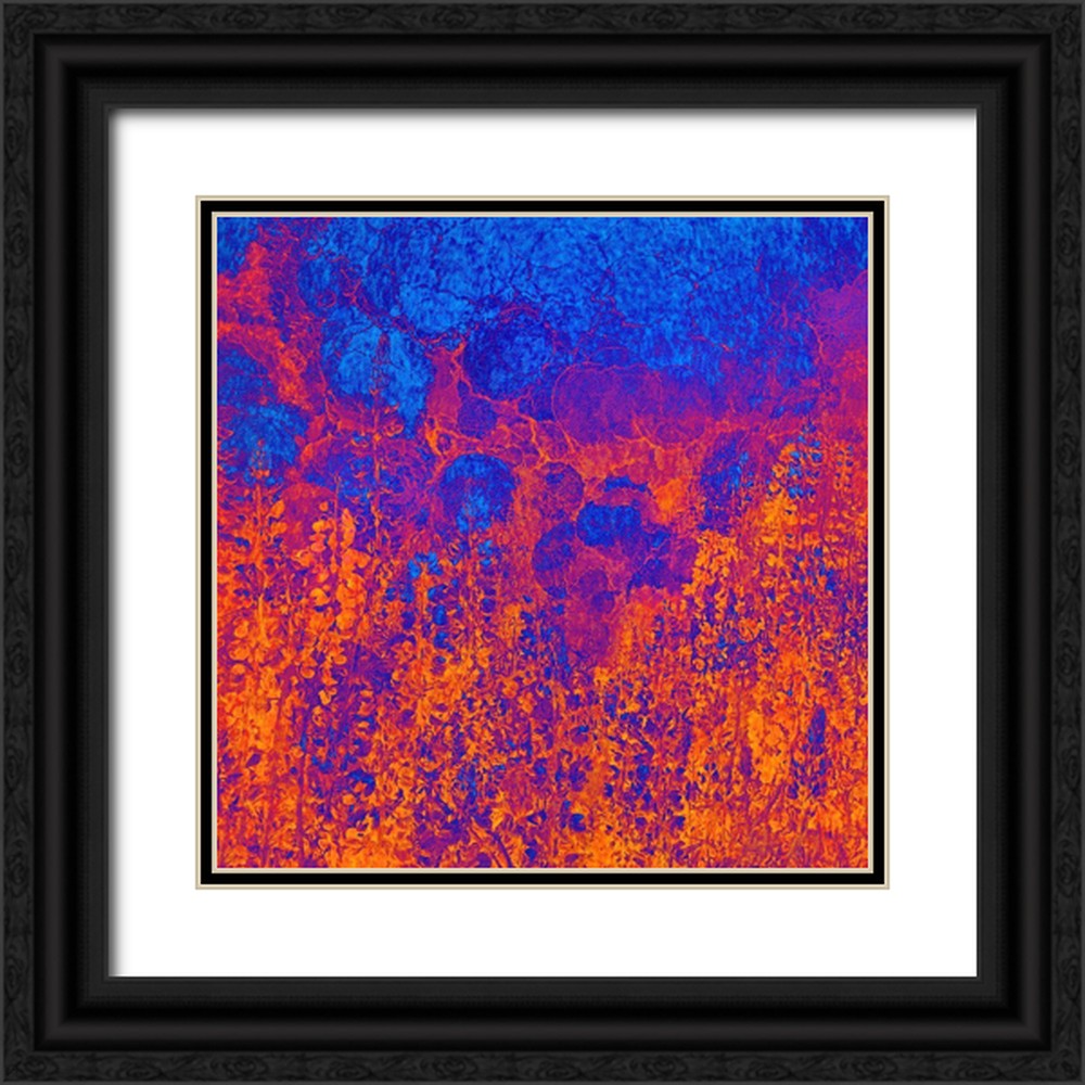 Jaynes Gallery 26x26 Black Ornate Wood Framed with Double Matting ...