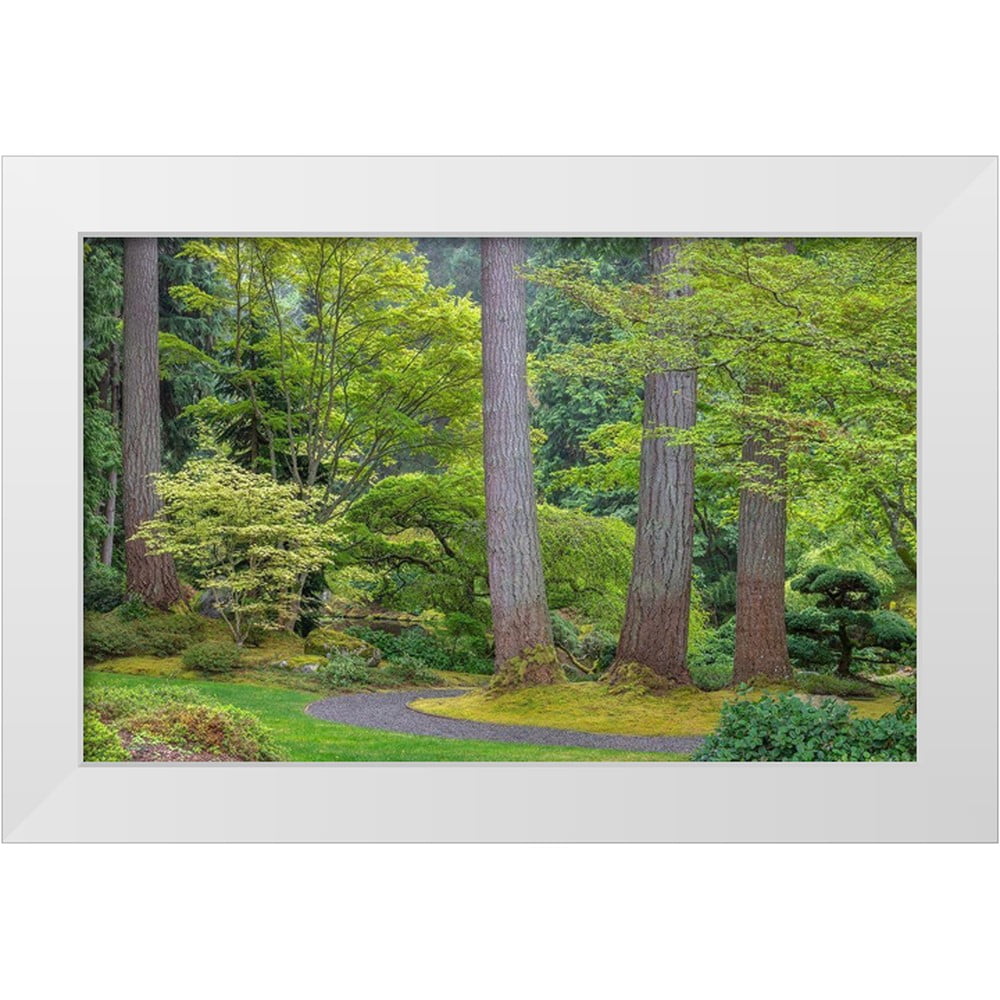 Jaynes Gallery 32x22 White Modern Wood Framed Museum Art Print Titled ...
