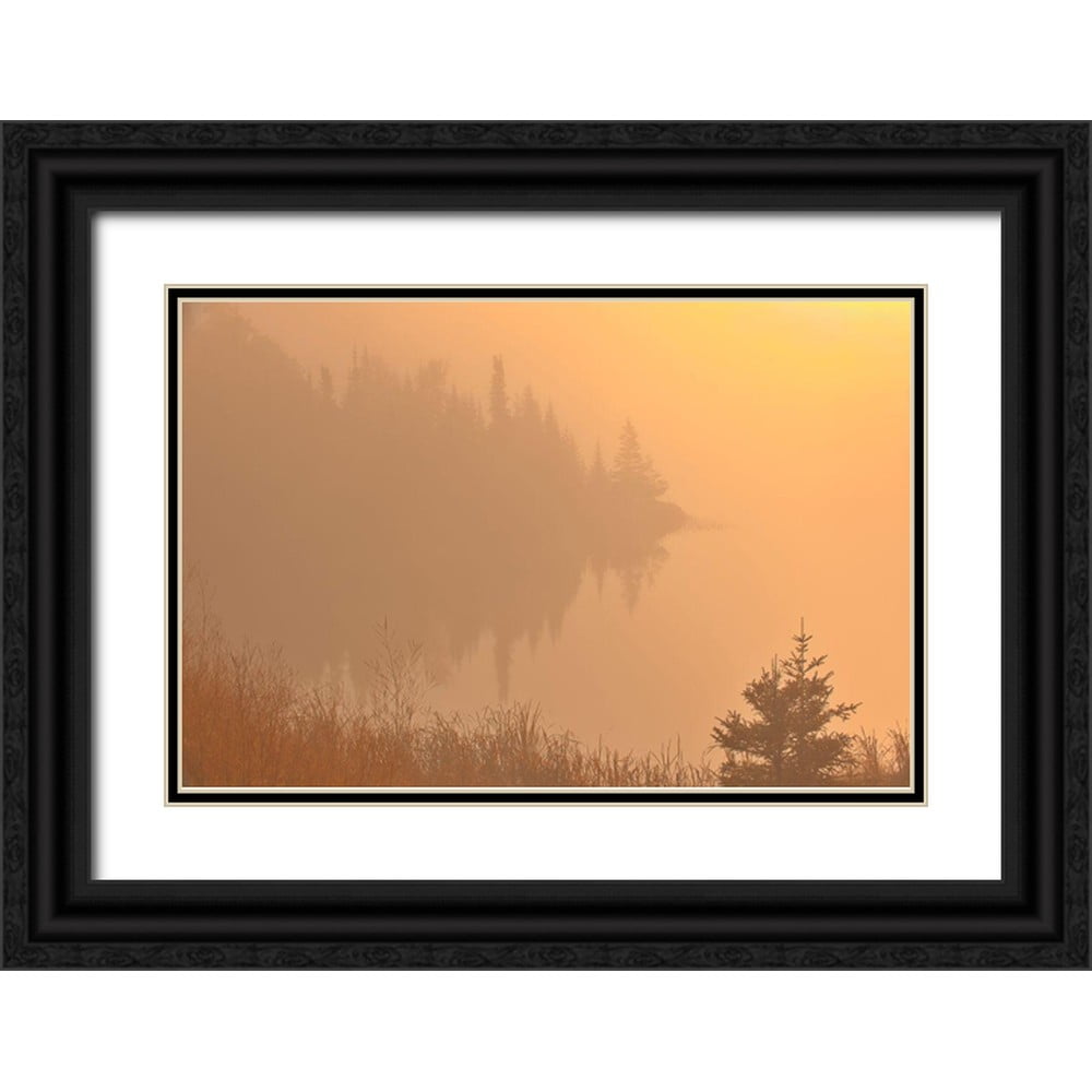 Jaynes Gallery 32x23 Black Ornate Wood Framed with Double Matting ...