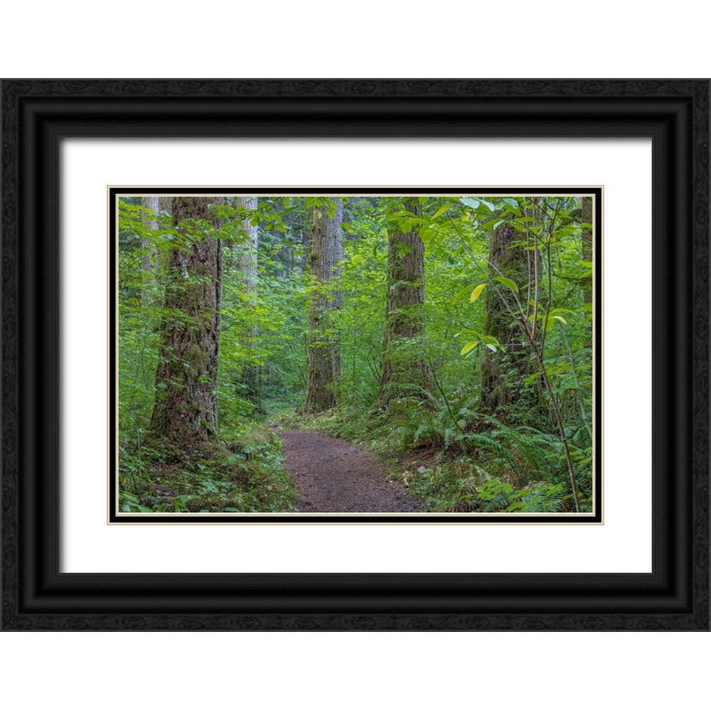 Jaynes Gallery 32x23 Black Ornate Wood Framed with Double Matting ...