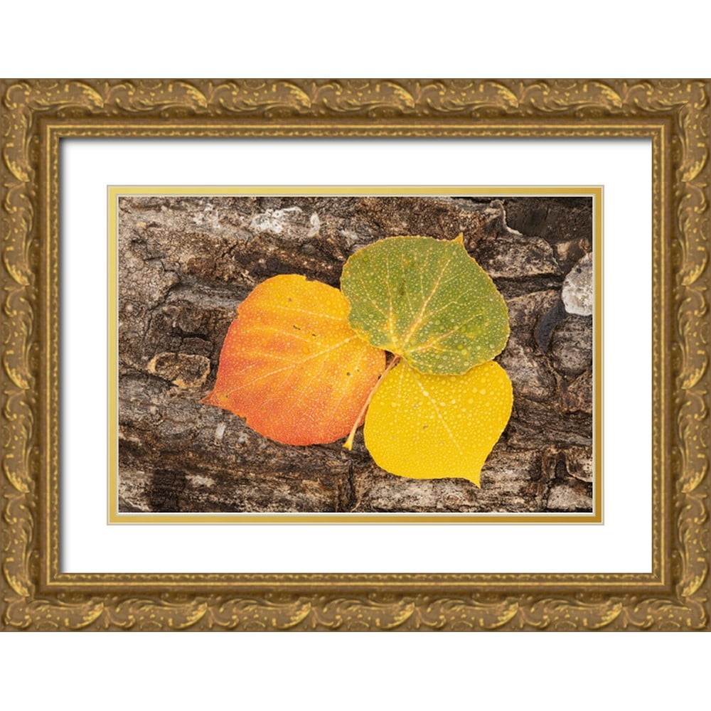 Jaynes Gallery 32x23 Gold Ornate Wood Framed with Double Matting Museum ...