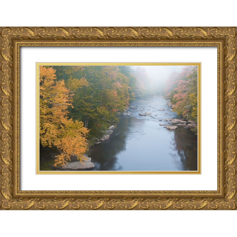 Jaynes Gallery 32x23 Gold Ornate Wood Framed with Double Matting Museum ...