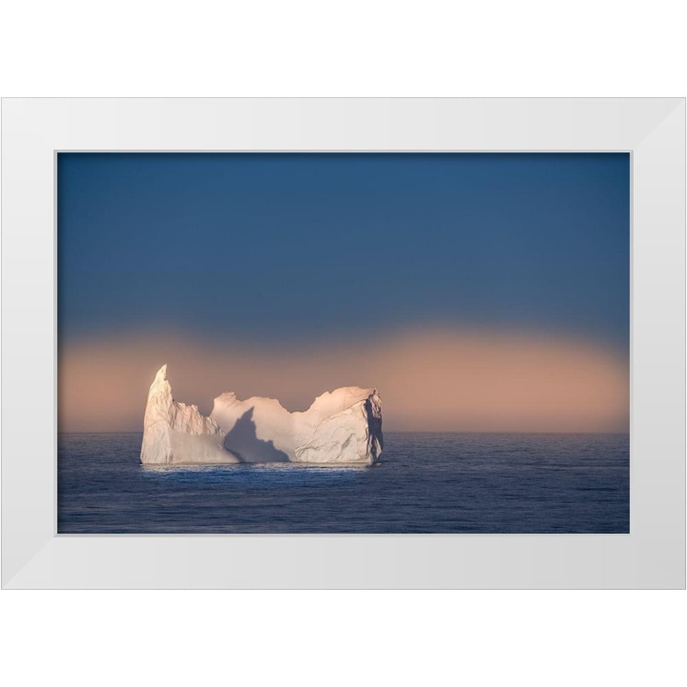 Jaynes Gallery 32x23 White Modern Wood Framed Museum Art Print Titled - Antarctica-South Georgia ...