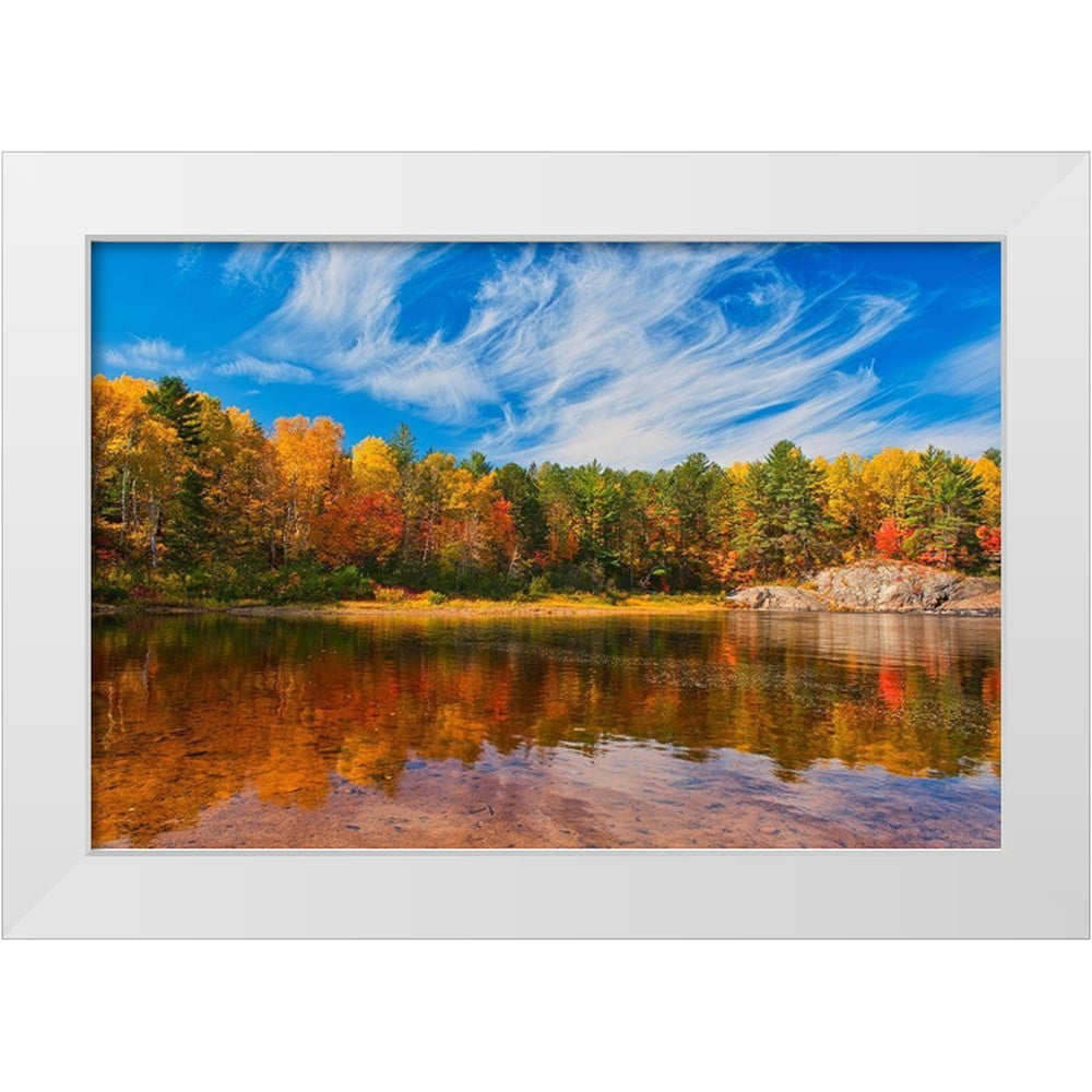 Jaynes Gallery 32x23 White Modern Wood Framed Museum Art Print Titled ...
