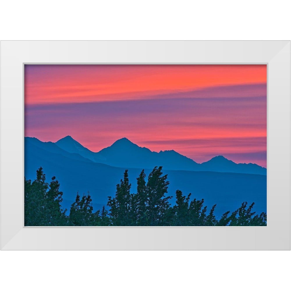 Jaynes Gallery 32x23 White Modern Wood Framed Museum Art Print Titled ...