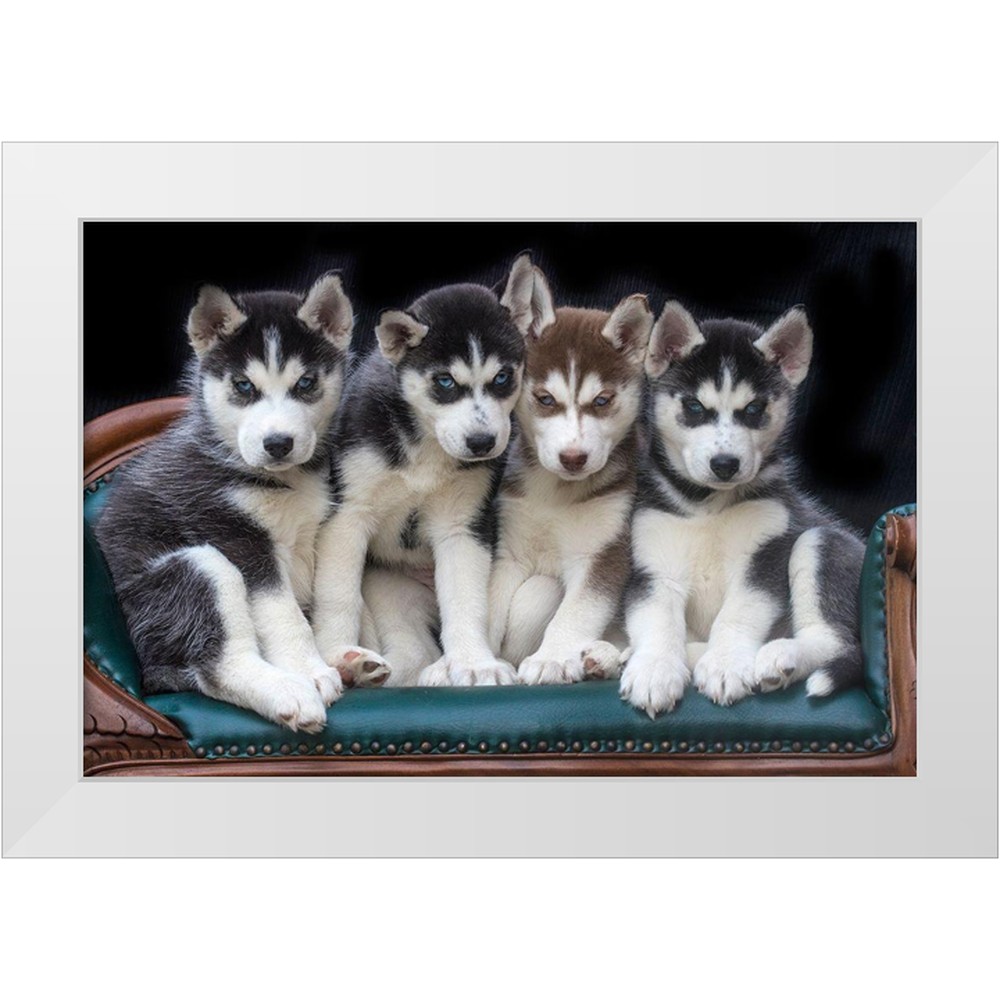 Jaynes Gallery 32x23 White Modern Wood Framed Museum Art Print Titled ...